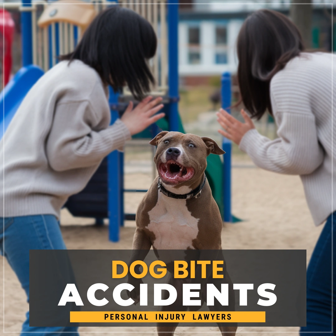 Dog Bite Lawyers in Woodstock, Innisfil, Uxbridge | BILF Law